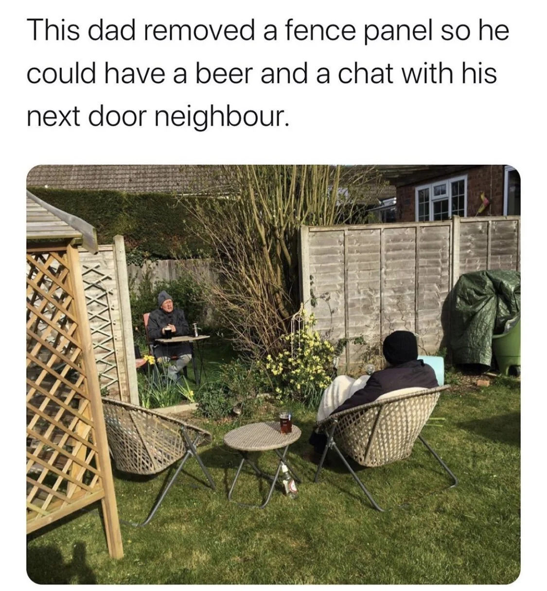 COMPILATION OF MEMES FROM THE COVID-19 PANDEMIC AND 2020 ELECTION ...