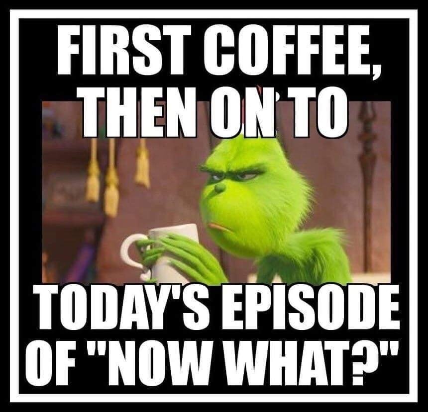 COMPILATION OF MEMES FROM THE COVID-19 PANDEMIC — Average Socialite