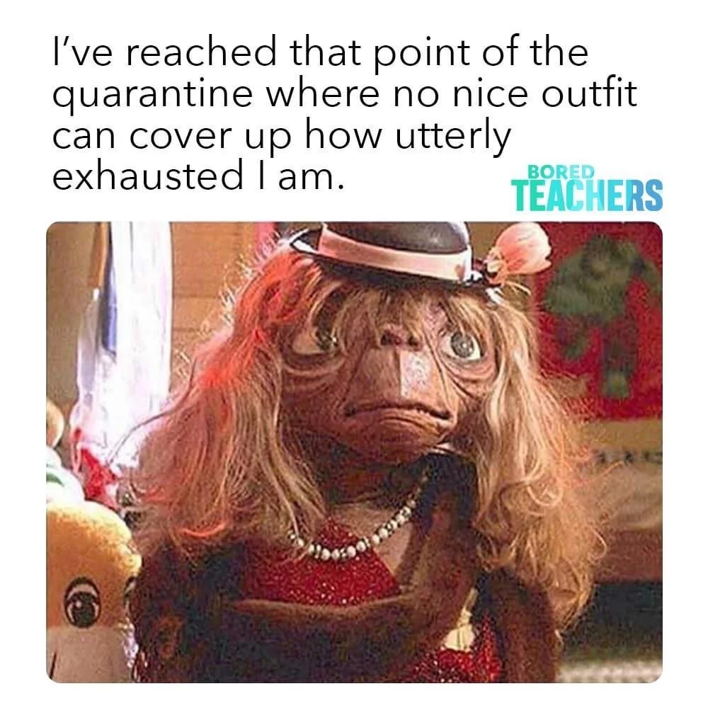 COMPILATION OF MEMES FROM THE COVID-19 PANDEMIC AND 2020 ELECTION ...