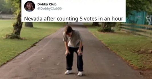 COMPILATION OF MEMES FROM THE COVID-19 PANDEMIC AND 2020 ELECTION ...