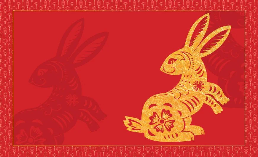 NYC — Average Socialite