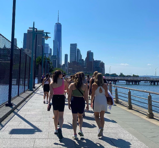 Free — Average Socialite