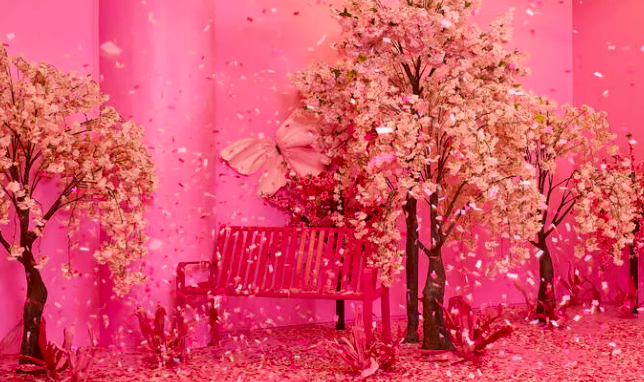 NYC — Average Socialite