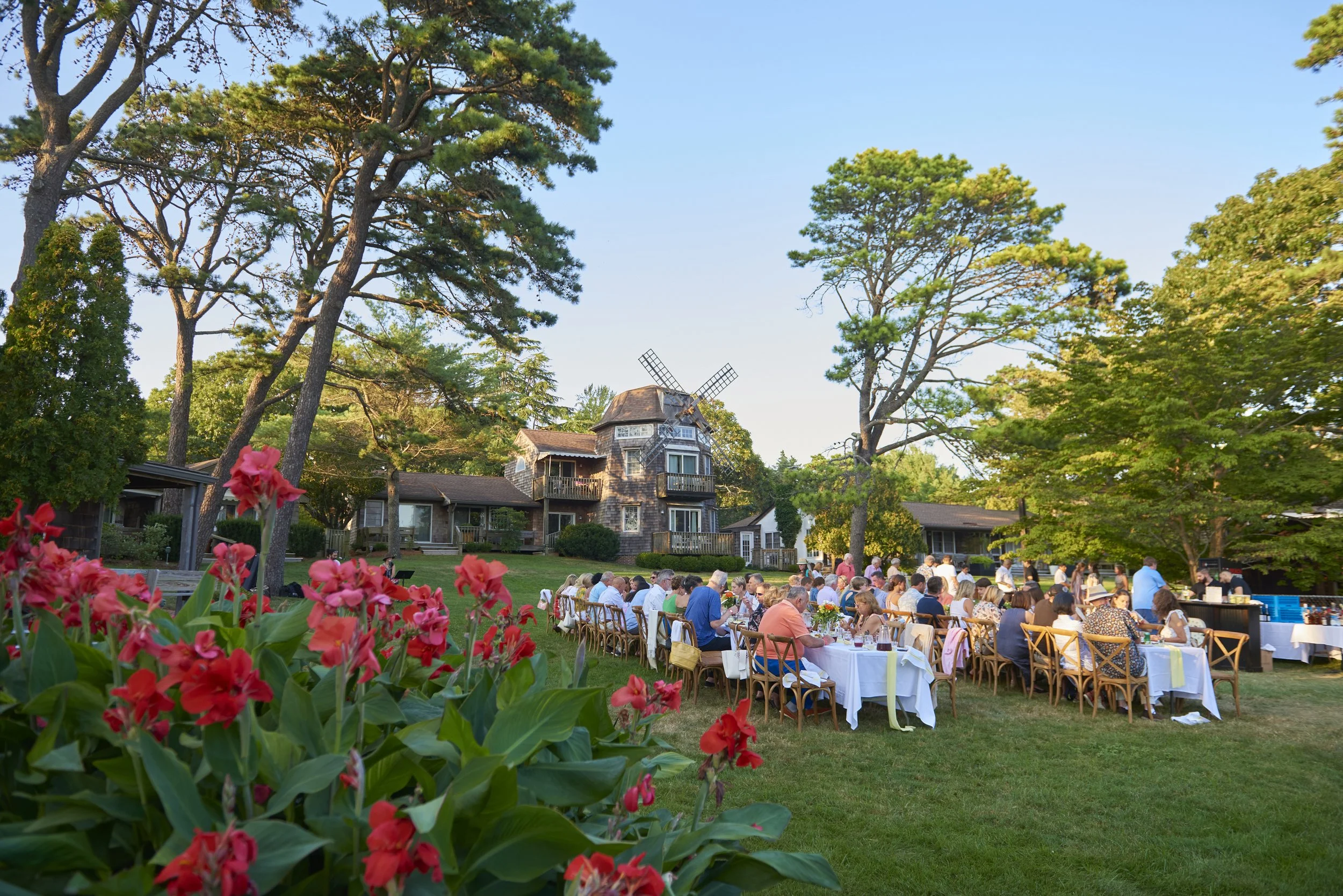 Hamptons — Average Socialite