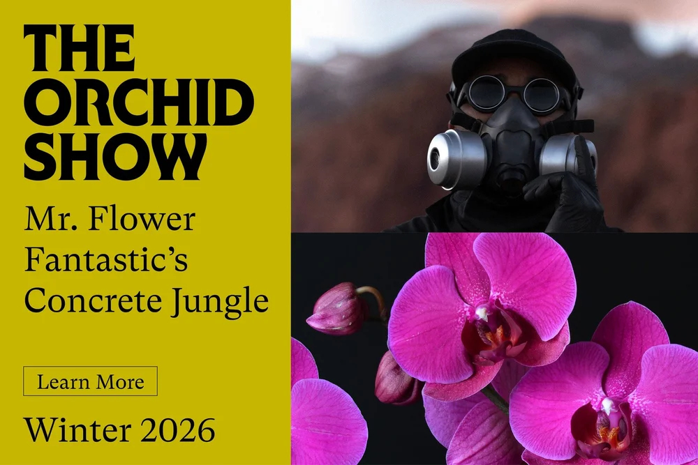 THE ORCHID SHOW: MR. FLOWER FANTASTIC'S CONCRETE JUNGLE AT NYBG, NYC ...