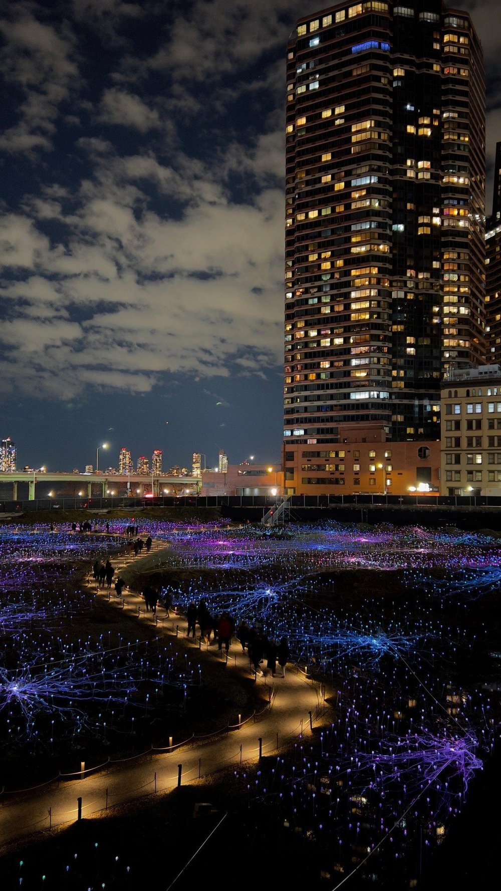 FIELD OF LIGHT AT FREEDOM PLAZA, NYC — Average Socialite