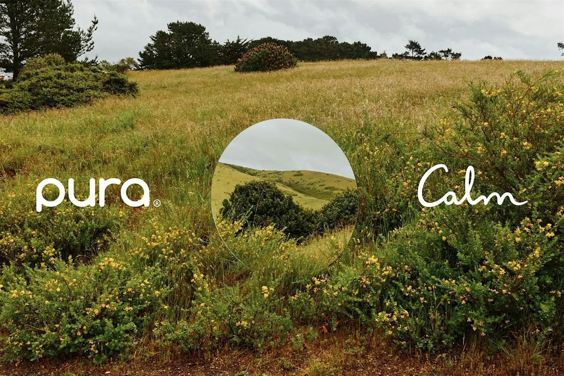 PURA X CALM: SCENT + SOUND POP-UP, NYC — Average Socialite