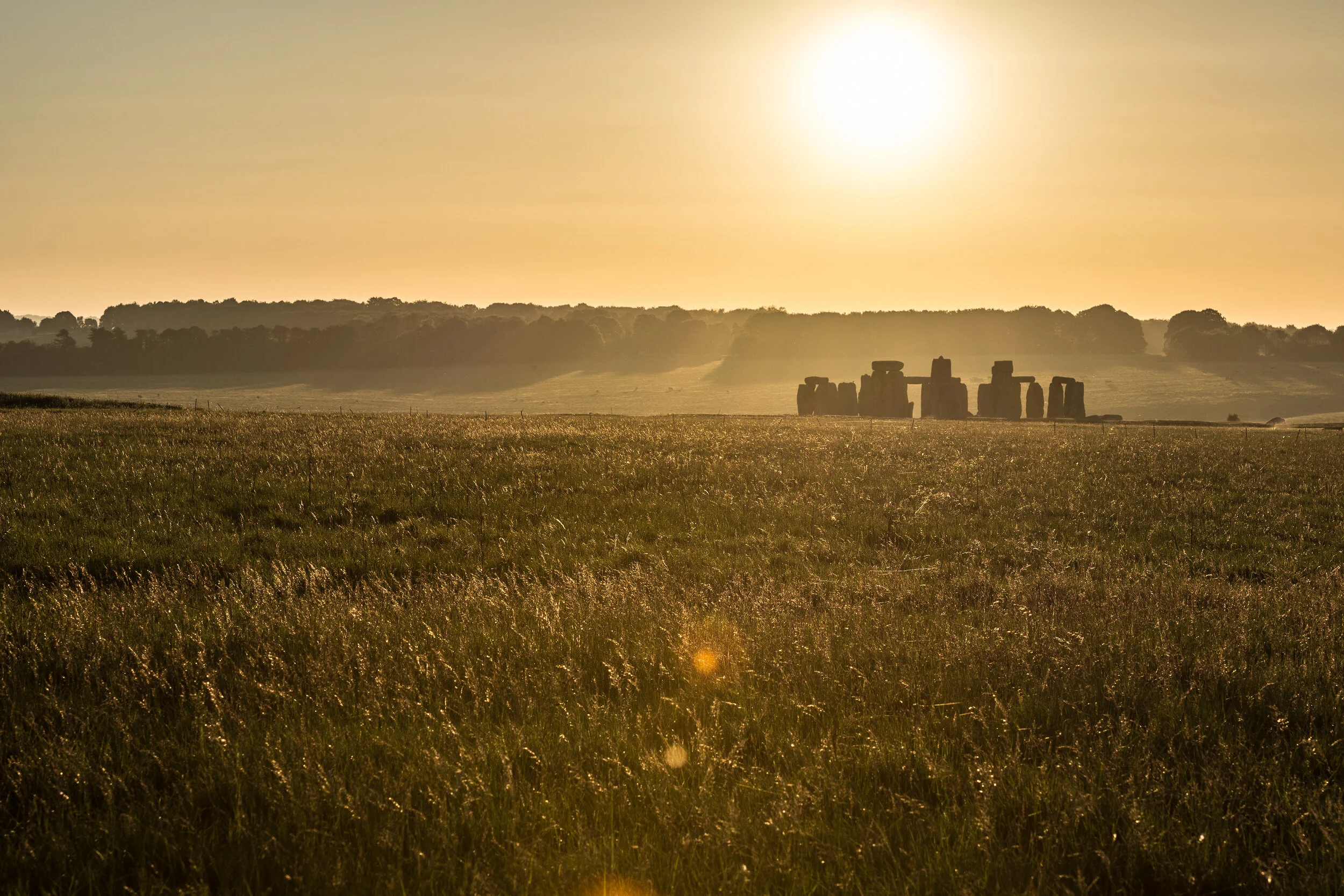 Dan Ransley Photography | wildlife & landscape photography