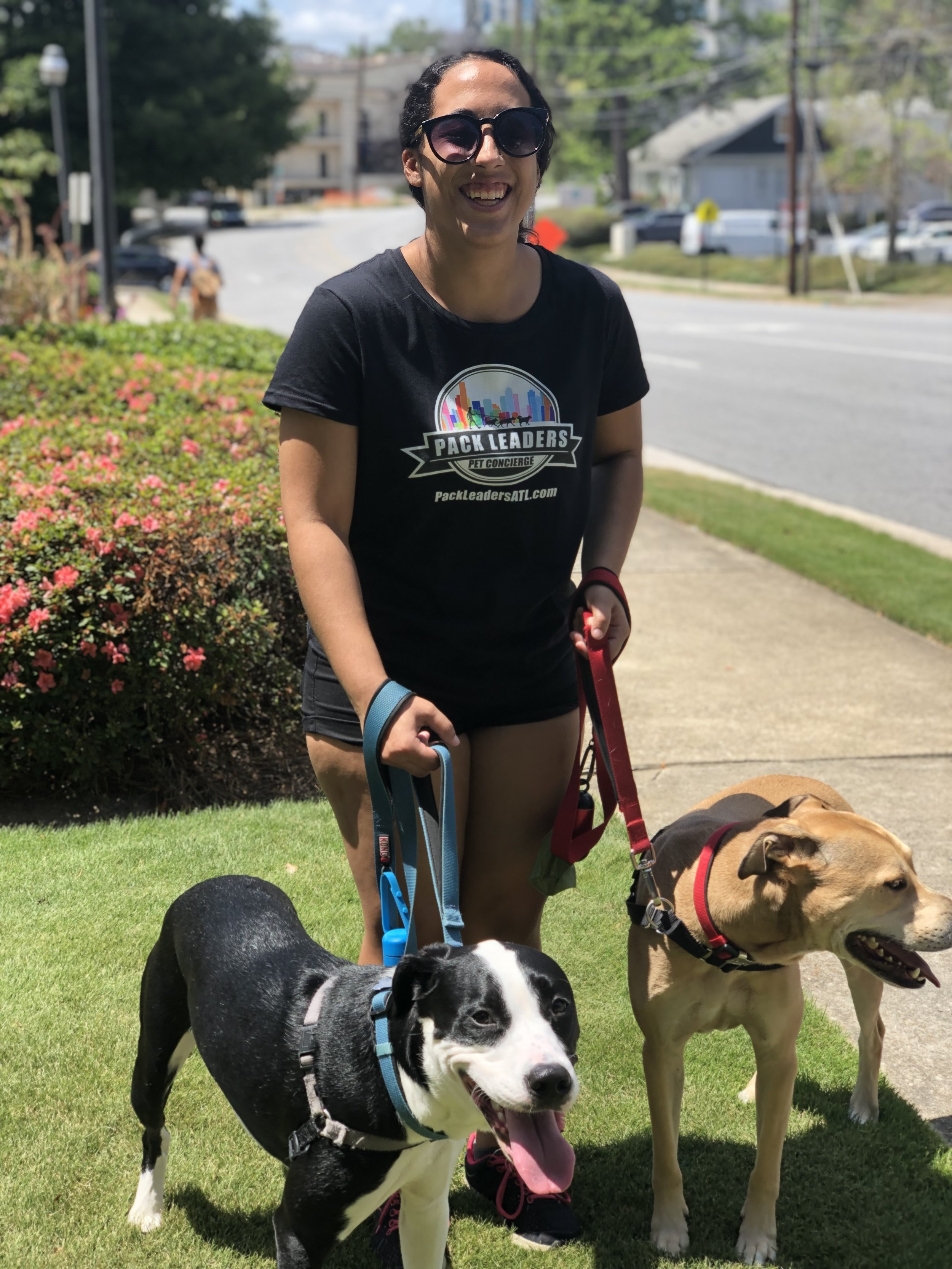 About Us — Pack Leaders ATL - Dog Walking, Cat Care and Pet Sitting ...