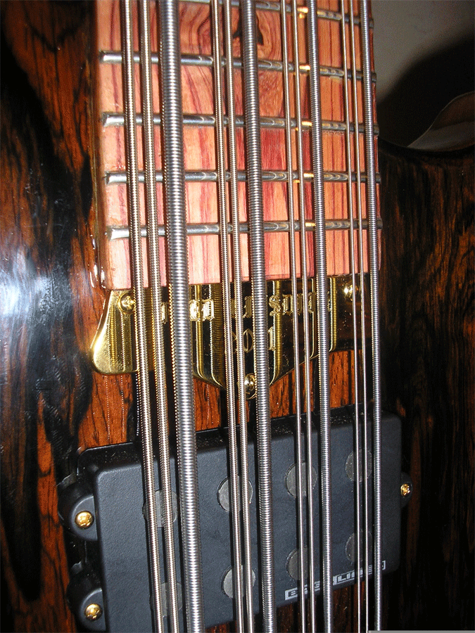 Vox Humana — 12-String Bass Encyclopedia