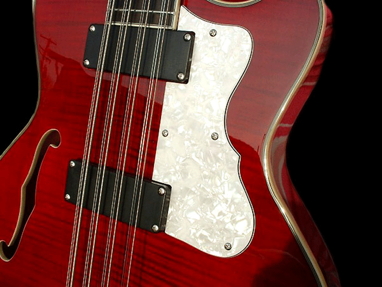 TP-2 — 12-String Bass Encyclopedia