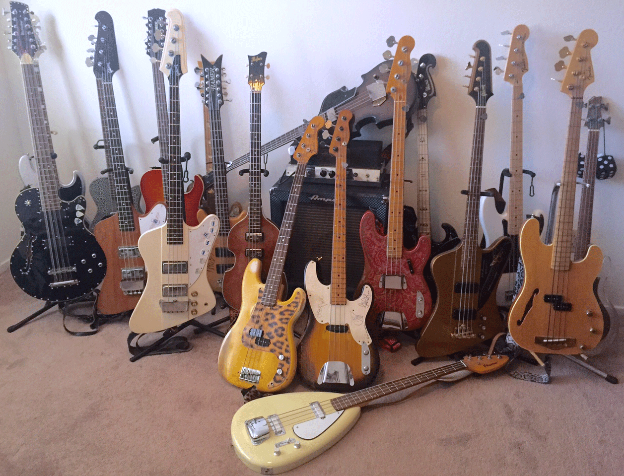 Center Stage - Rob Ruiz — 12-String Bass Encyclopedia