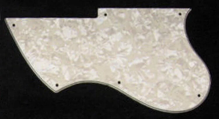 Chandler Pickguards — 12-String Bass Encyclopedia