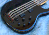 12-String Bass Encyclopedia