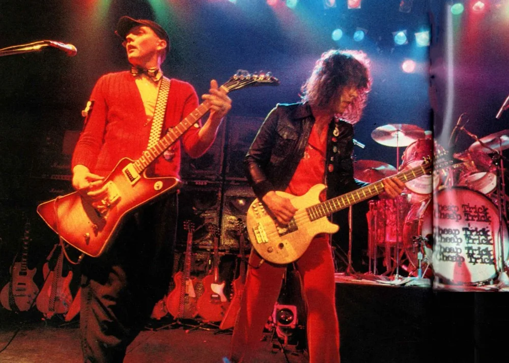 Viva Rock — 12-String Bass Encyclopedia
