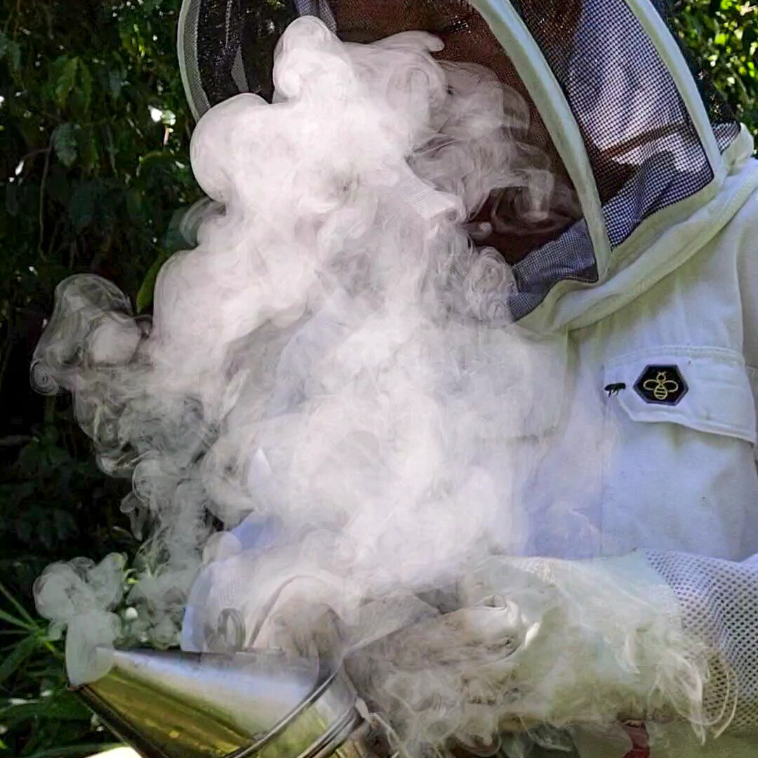 BAD BEEKEEPING — Honey Huntress