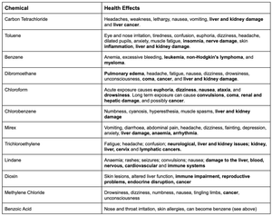 Pollution Past and Present: The Love Canal Disaster — environment care