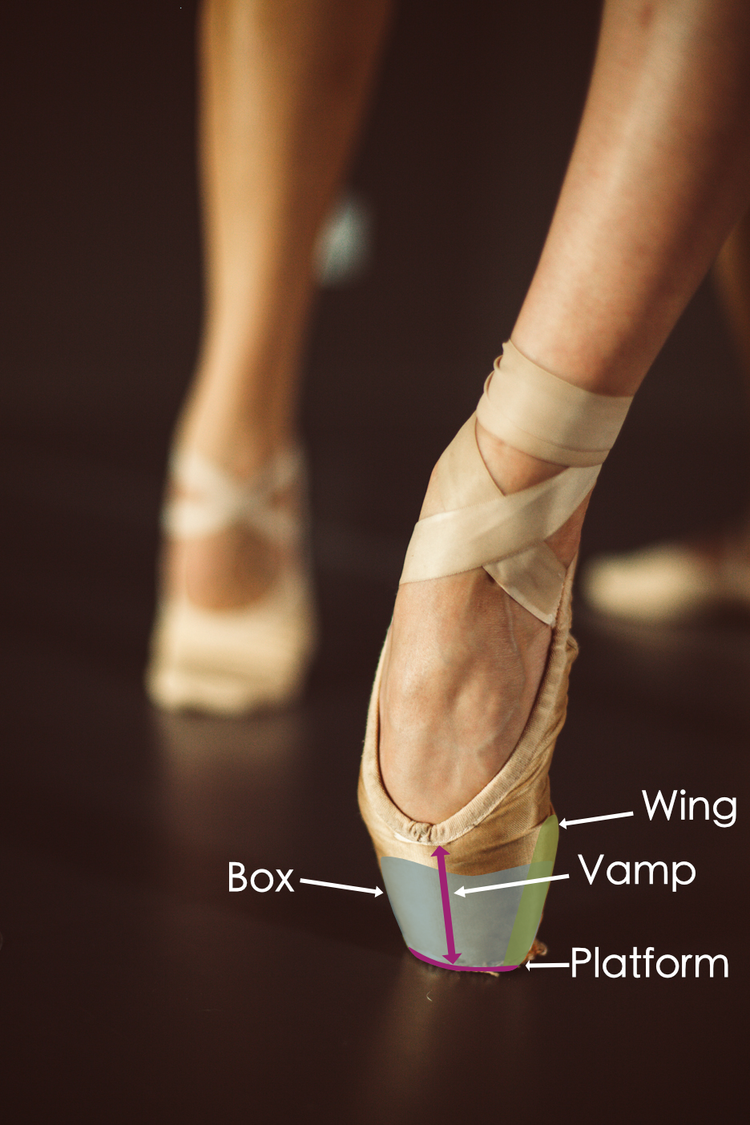 What Is a Pointe Shoe?: A Guide to the Advanced Dance Footwear ...