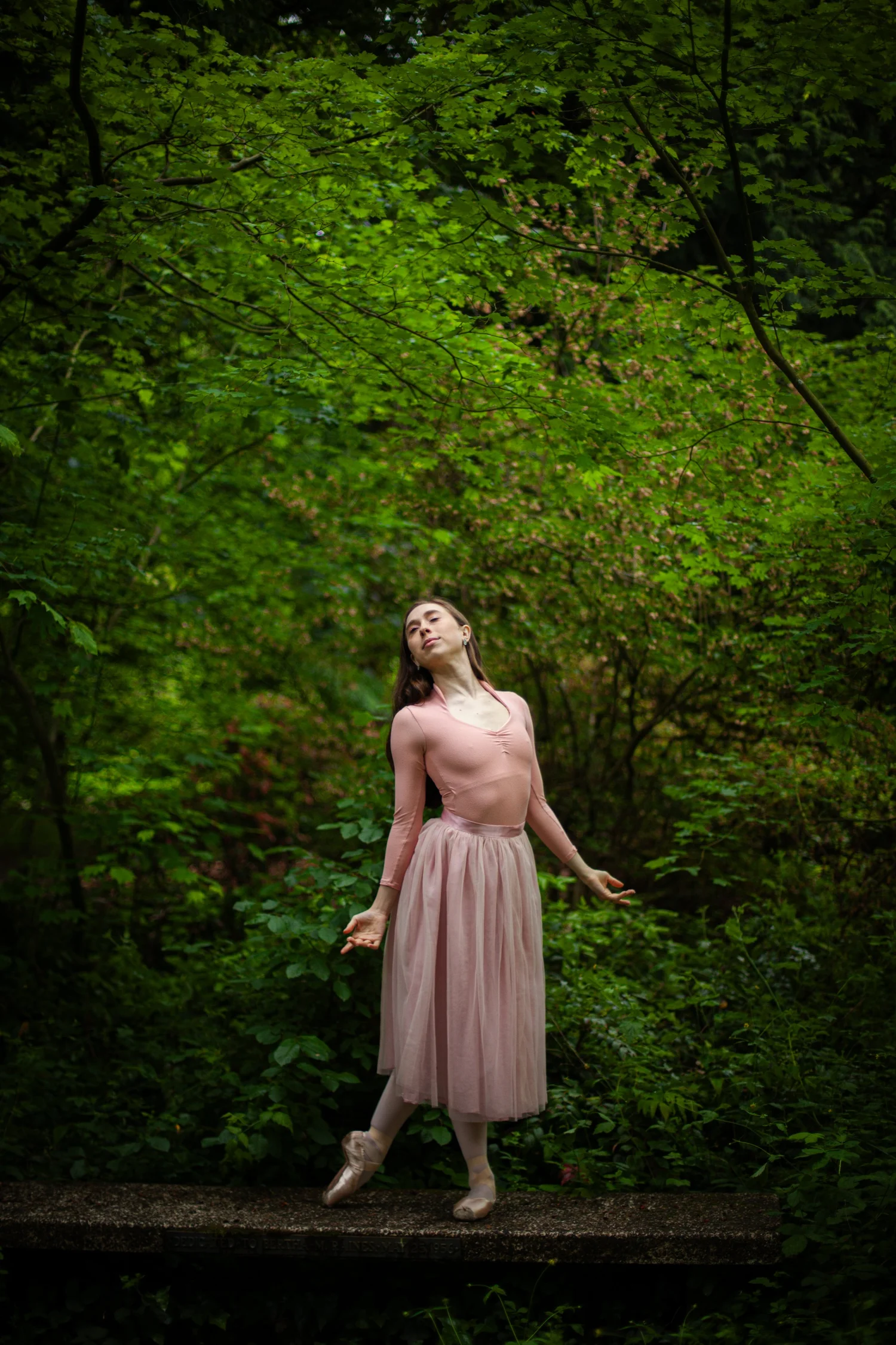 Storytelling in Classical Ballet: Balancing Tradition and Innovation ...