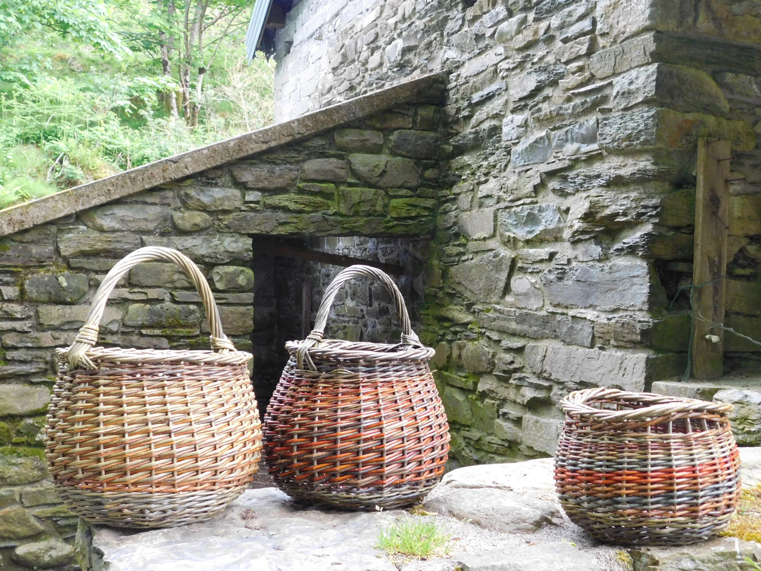 Gallery — Wild Rose Basketry