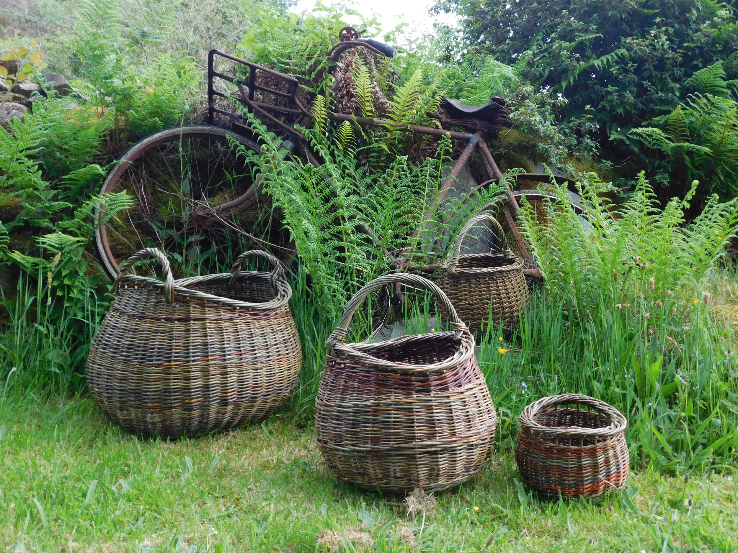Gallery — Wild Rose Basketry