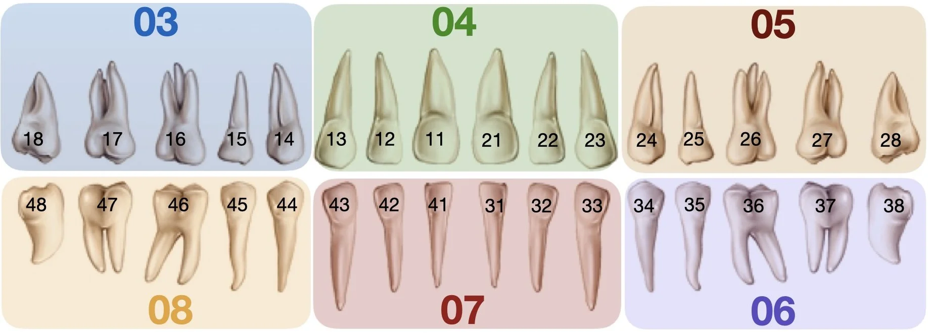 Combien ça coute un traitement de parodontologie — Dr Frédéric Rouche