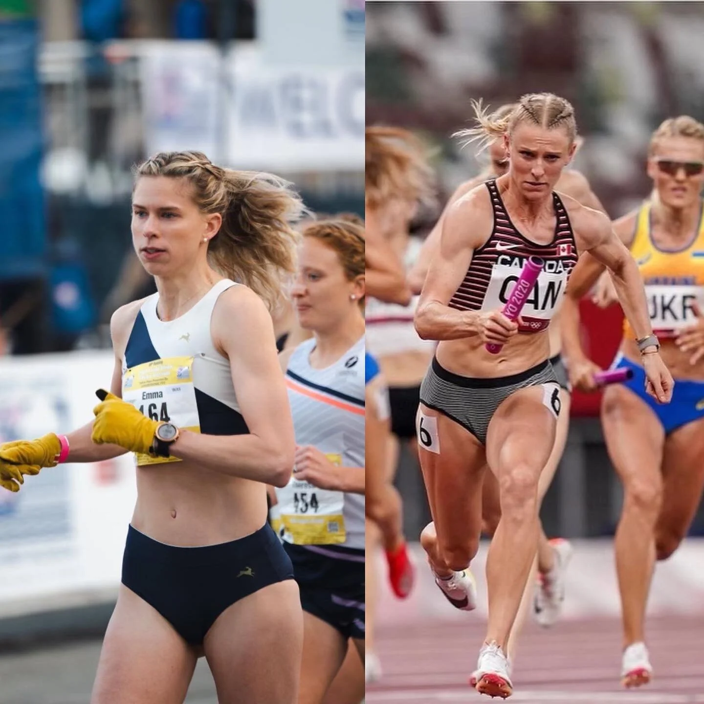 The Endurance Collected — The Endurance Collective