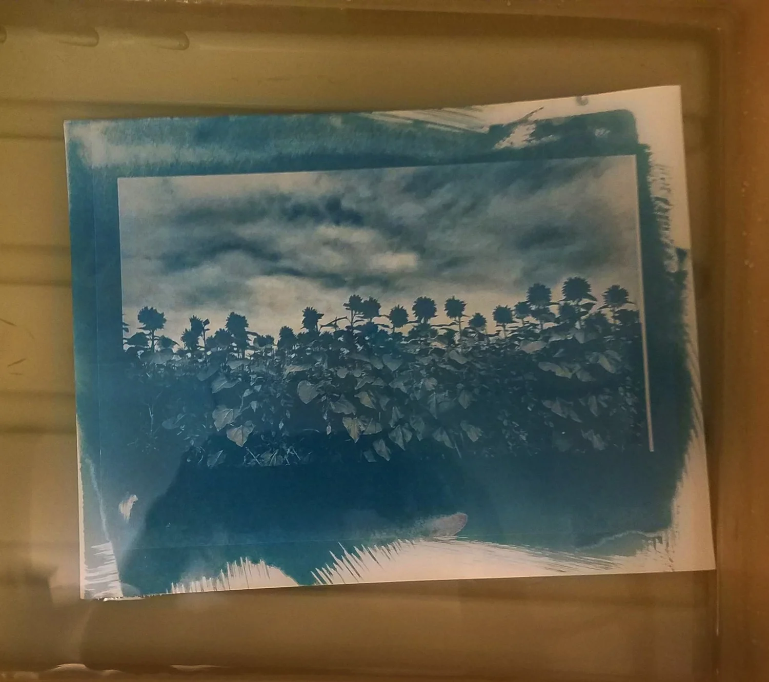 Stephanie Bartz — MKE Studio Tour