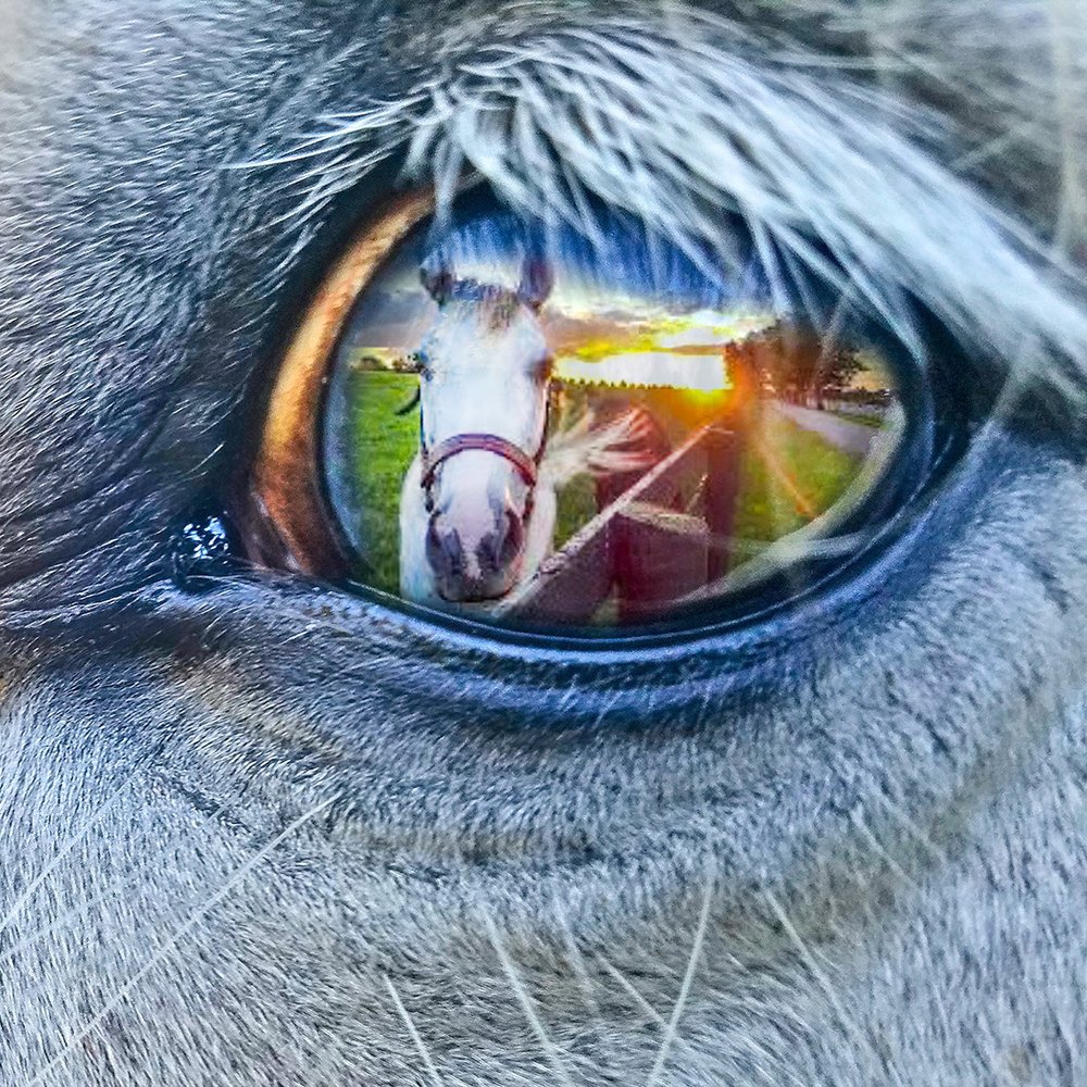 Jon Walton — MKE Studio Tour