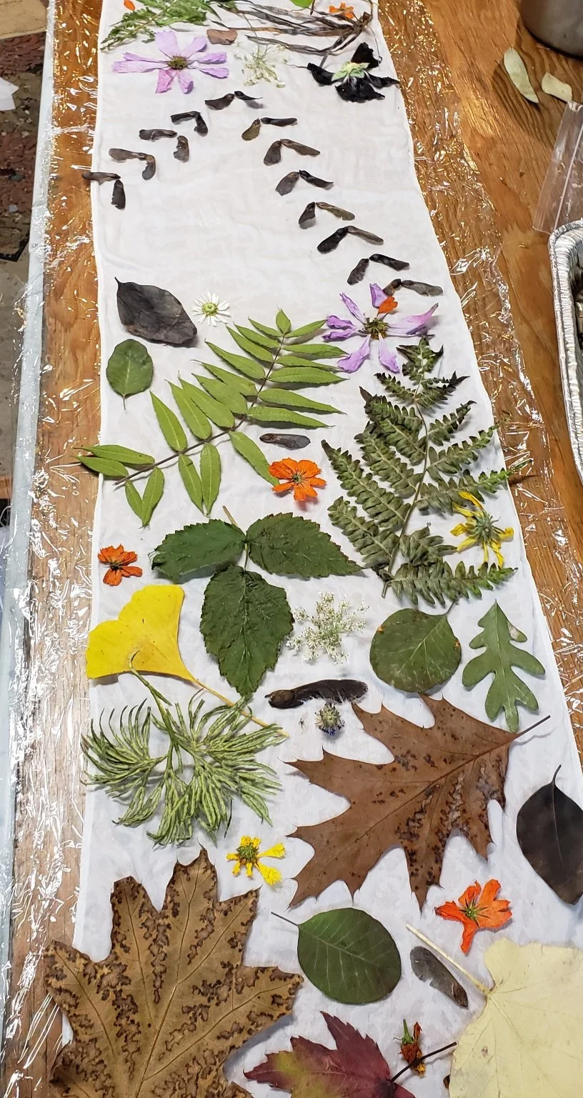 Janet Falk — MKE Studio Tour