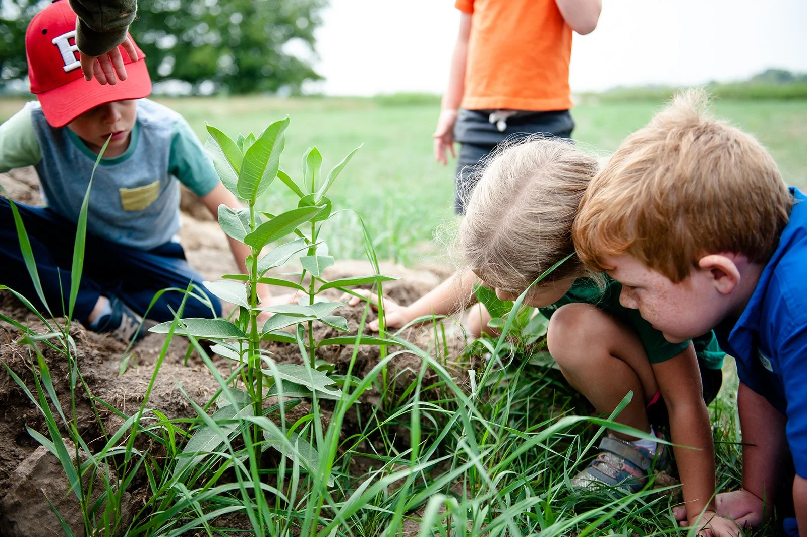 forest kindergarten — Roots & Wings Forest School