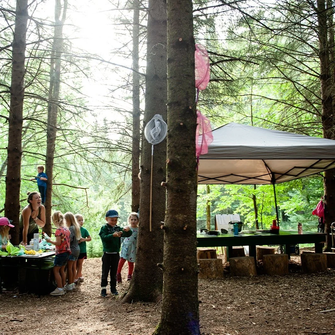 Roots & Wings Forest School