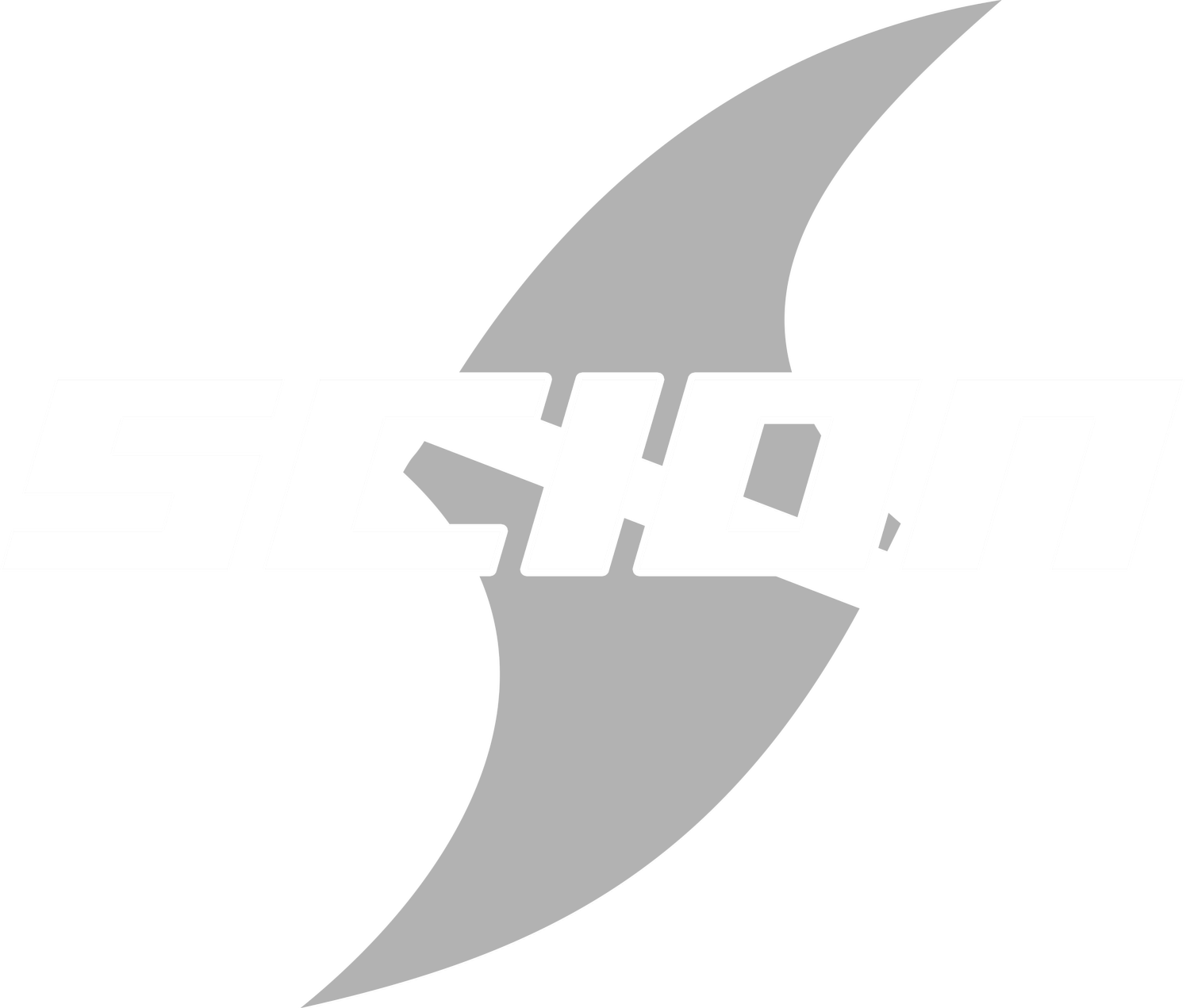 Branding Information — Scion Esports
