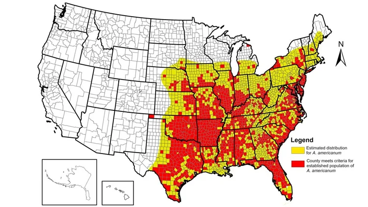 The Rise of the Lone Star Tick: How to Protect Yourself — The Seacoast ...