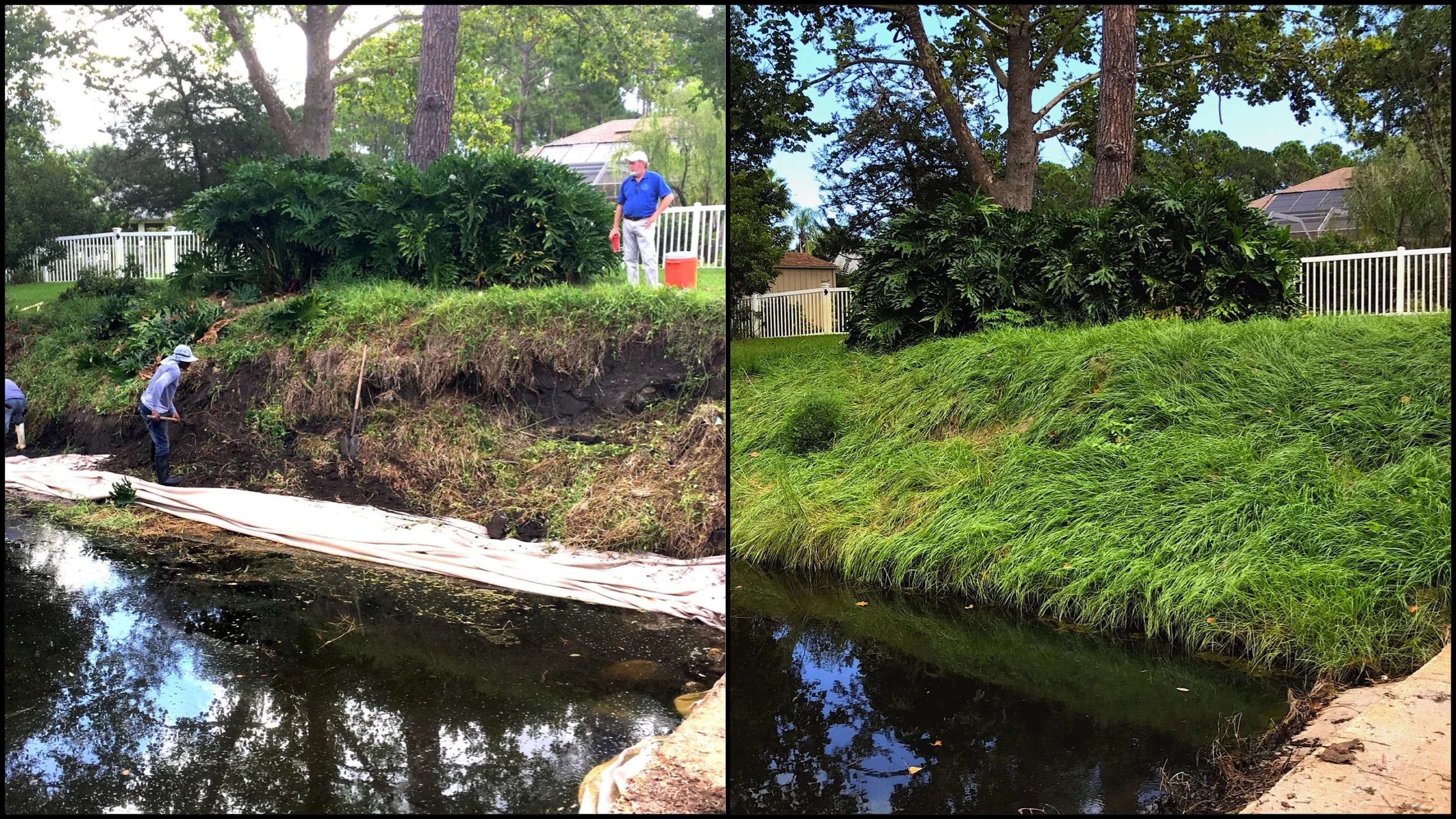 Lake Source - Aquatic Habitat Management — Shoreline Wetland Management ...