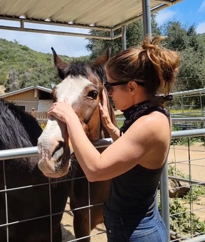 Our Charities — SDPHC