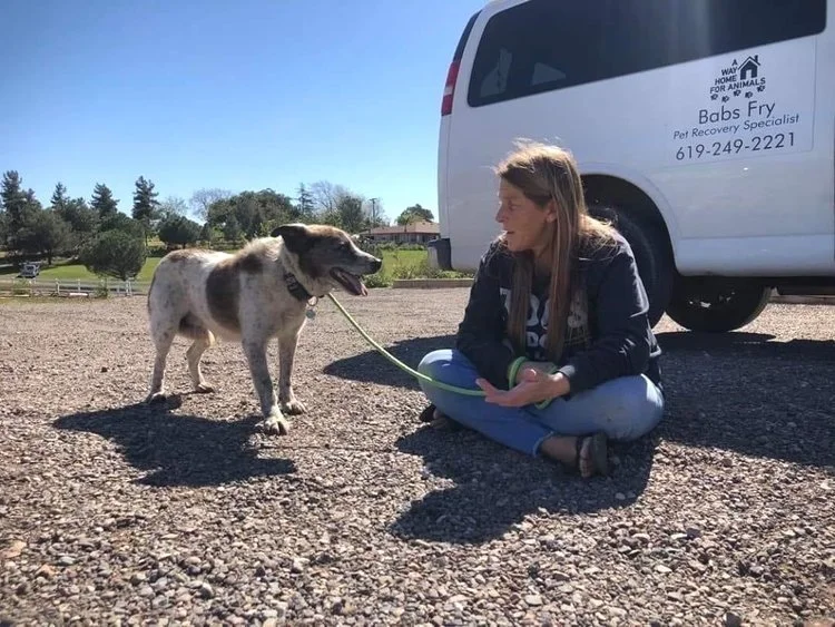 Our Charities — SDPHC