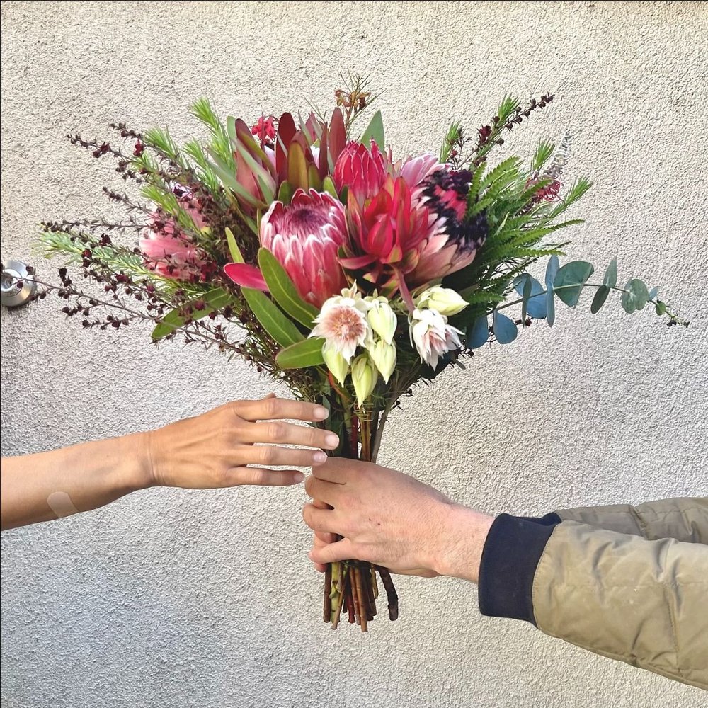 Protea Flower Quotes | Best Flower Site