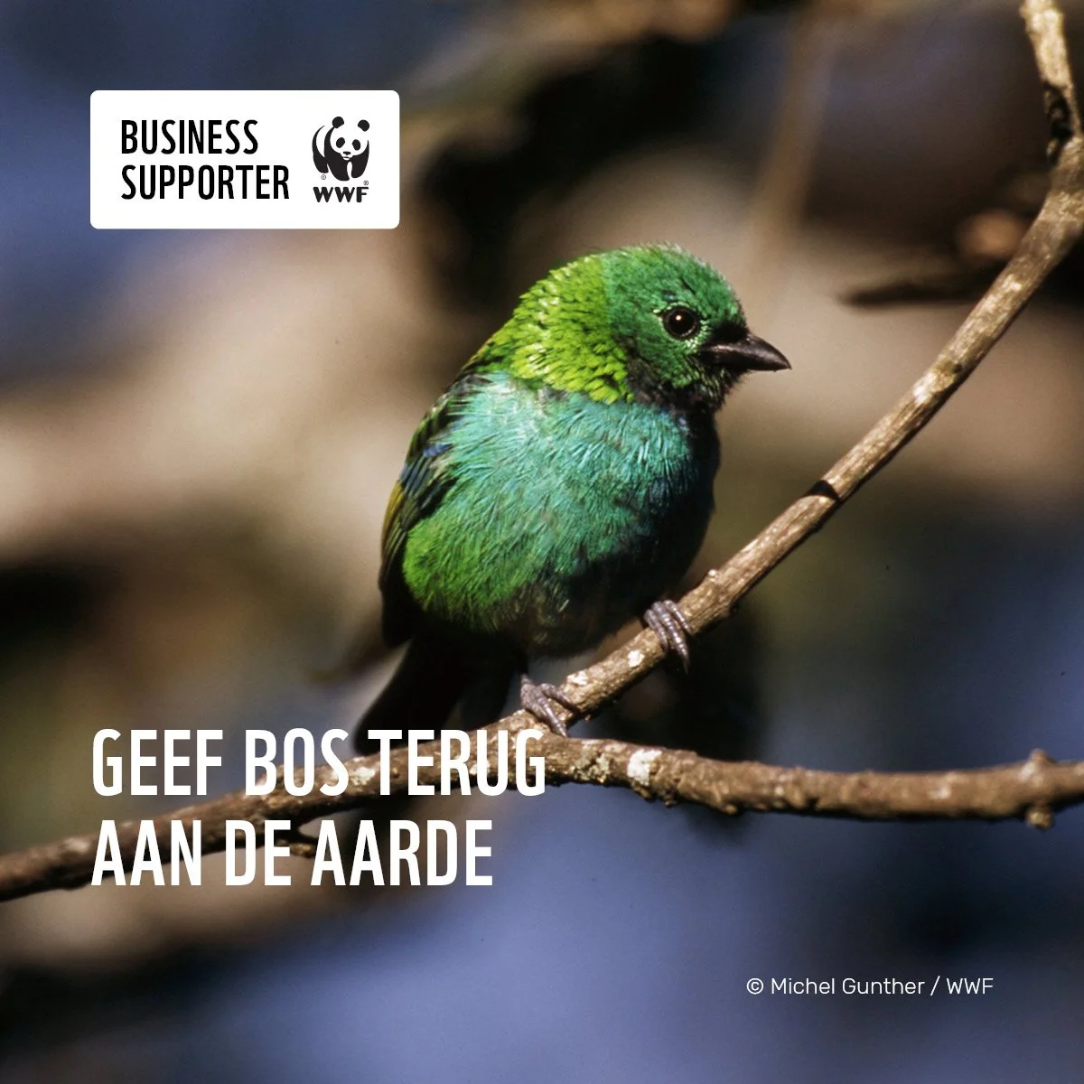 Tandartspraktijk NijCare, tandheelkunde en specialistische mondzorg ...