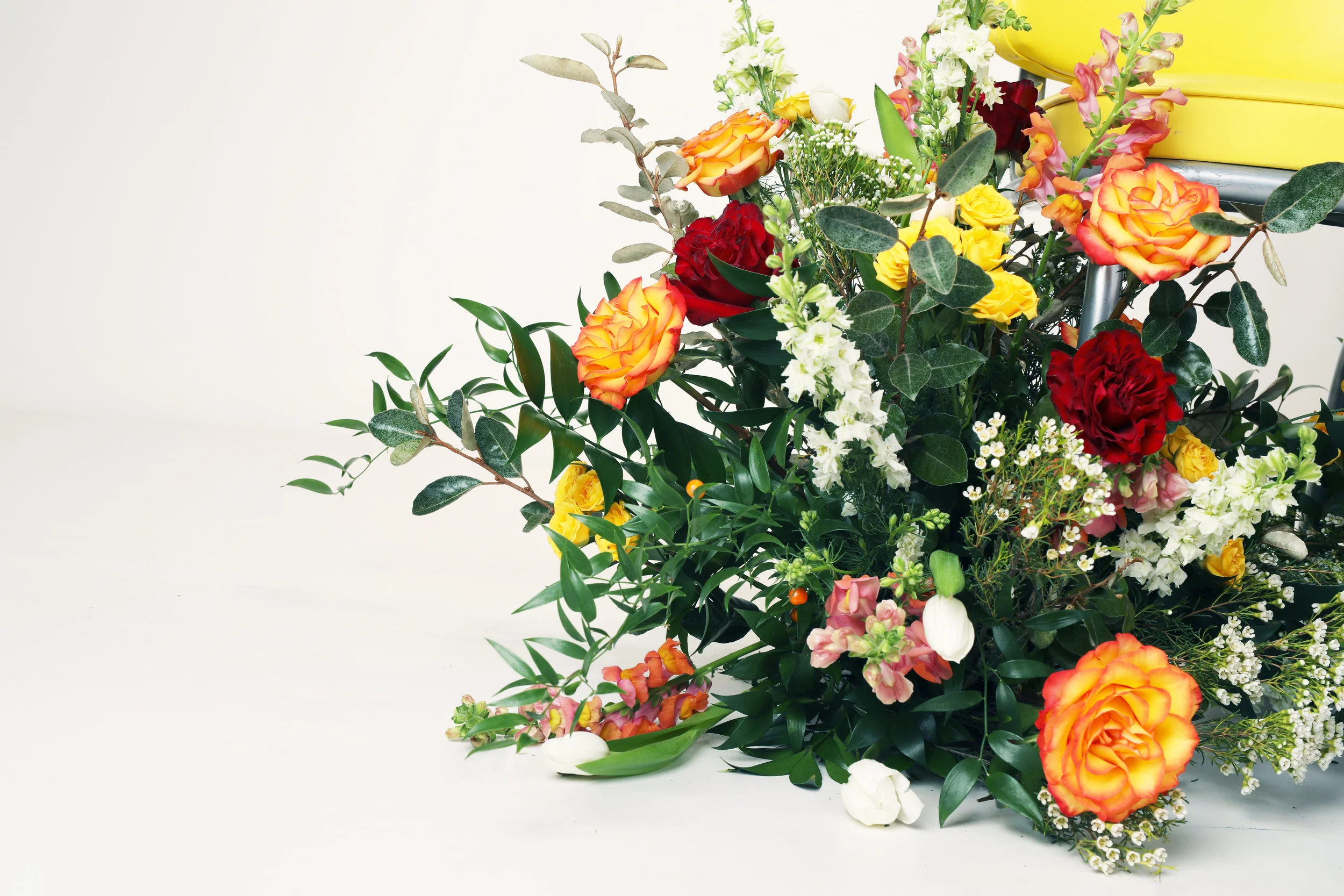 Contact — Designs by Dillon