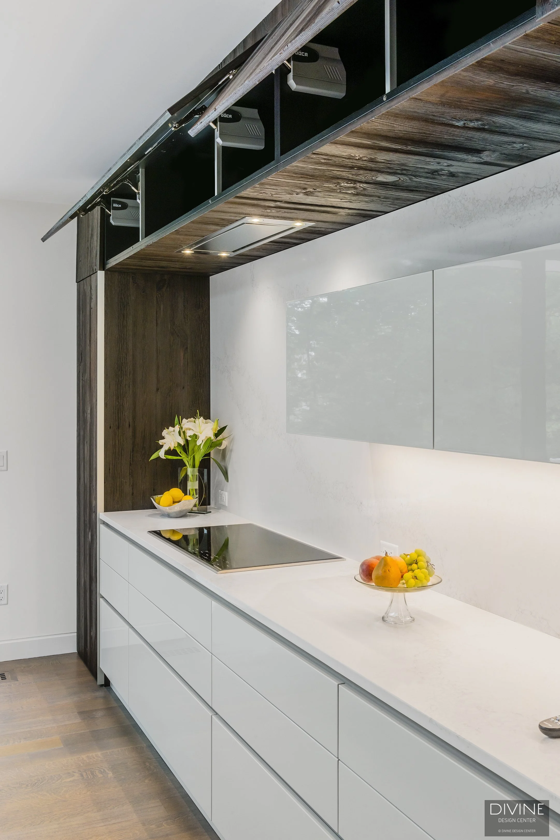 Wellesley MA Minimalist Modern Kitchen — Divine Design Center