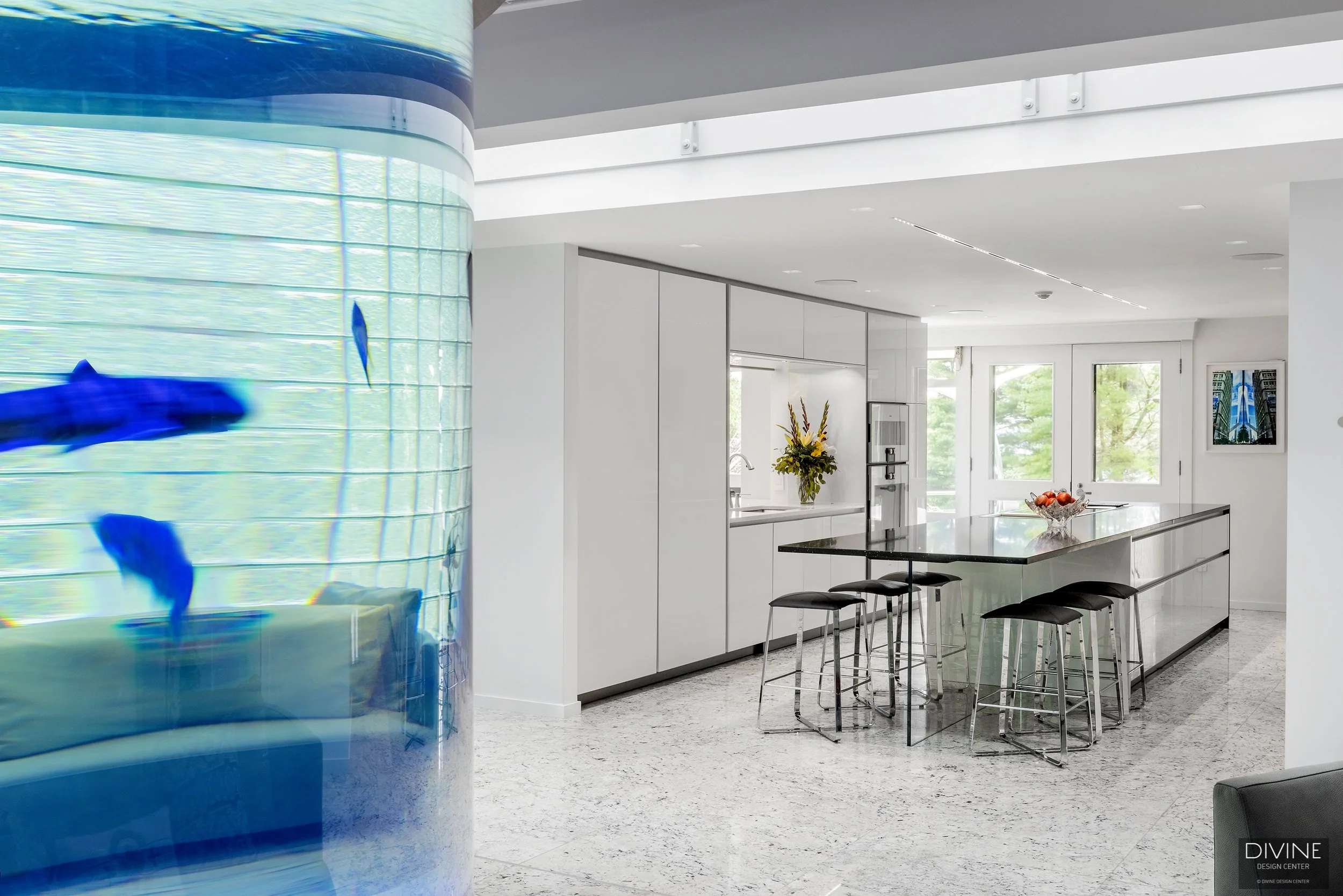 Swampscott MA Modern Kitchen With Aquarium — Divine Design Center