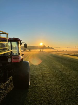 Medina Turf Farms