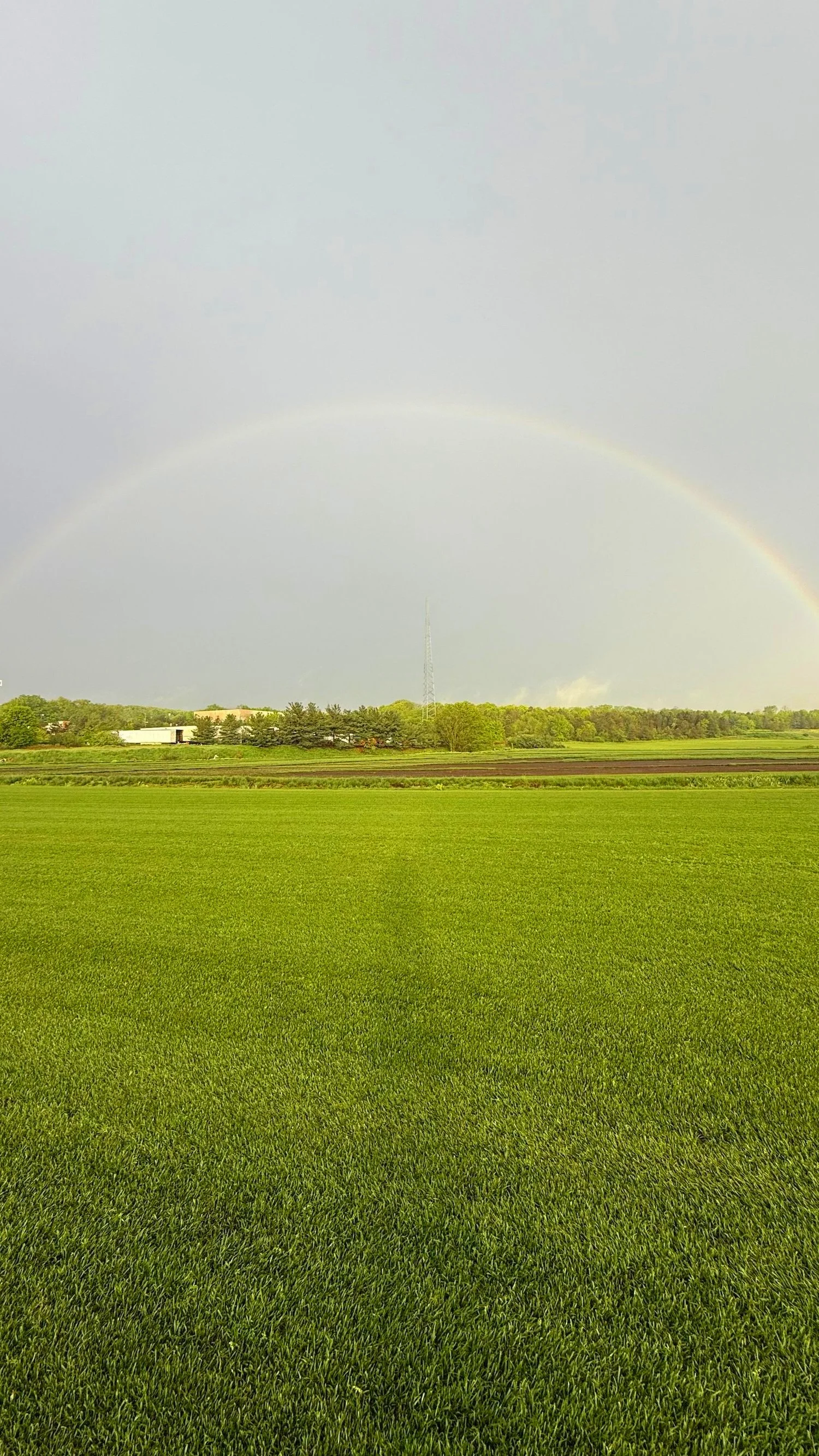 Sod — Medina Turf Farms