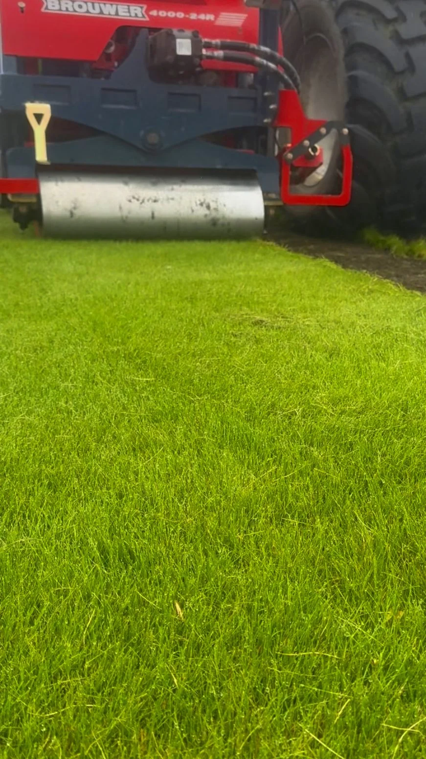 Sod — Medina Turf Farms