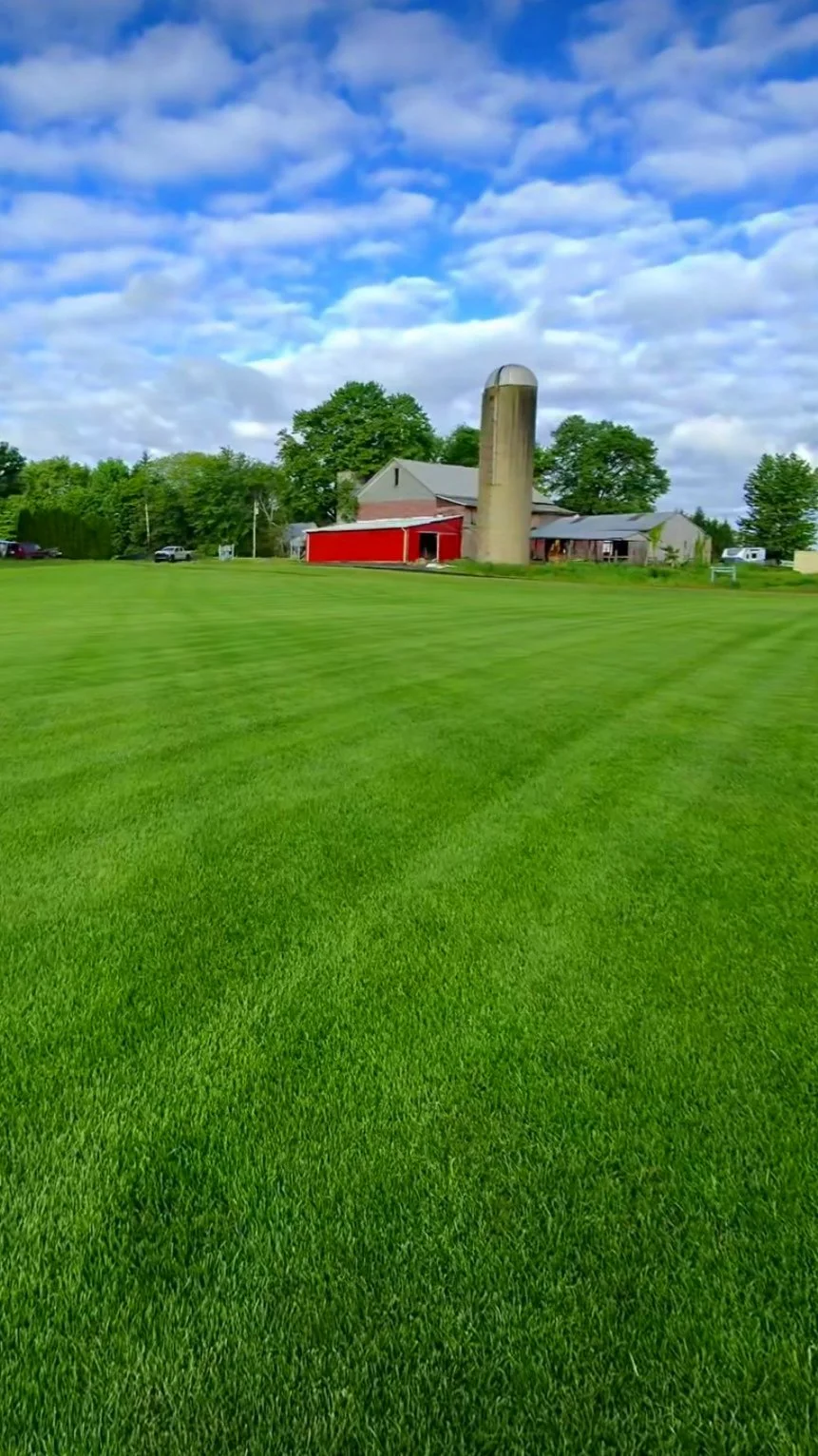 Sod — Medina Turf Farms