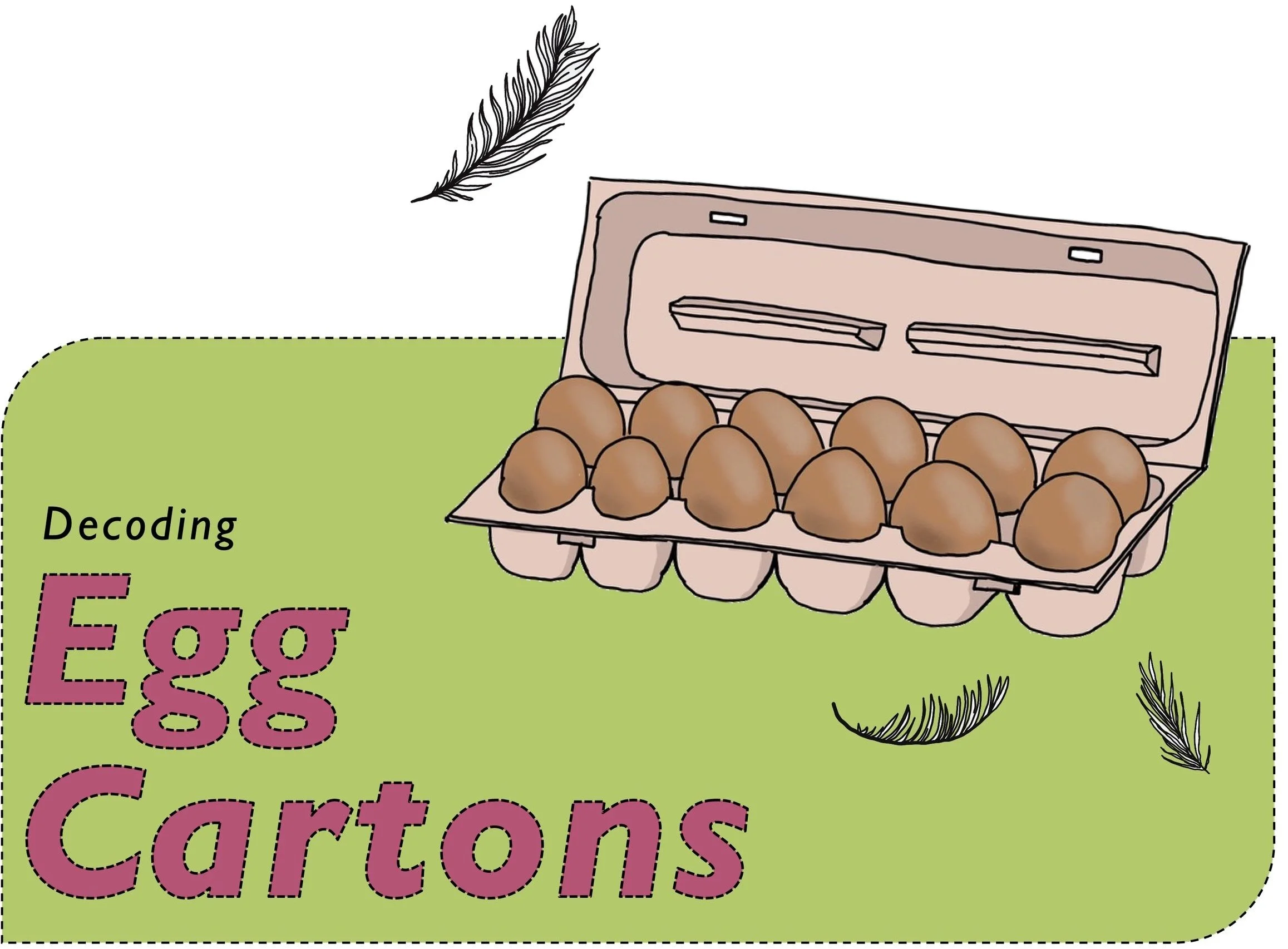 Egg Carton Cartoon