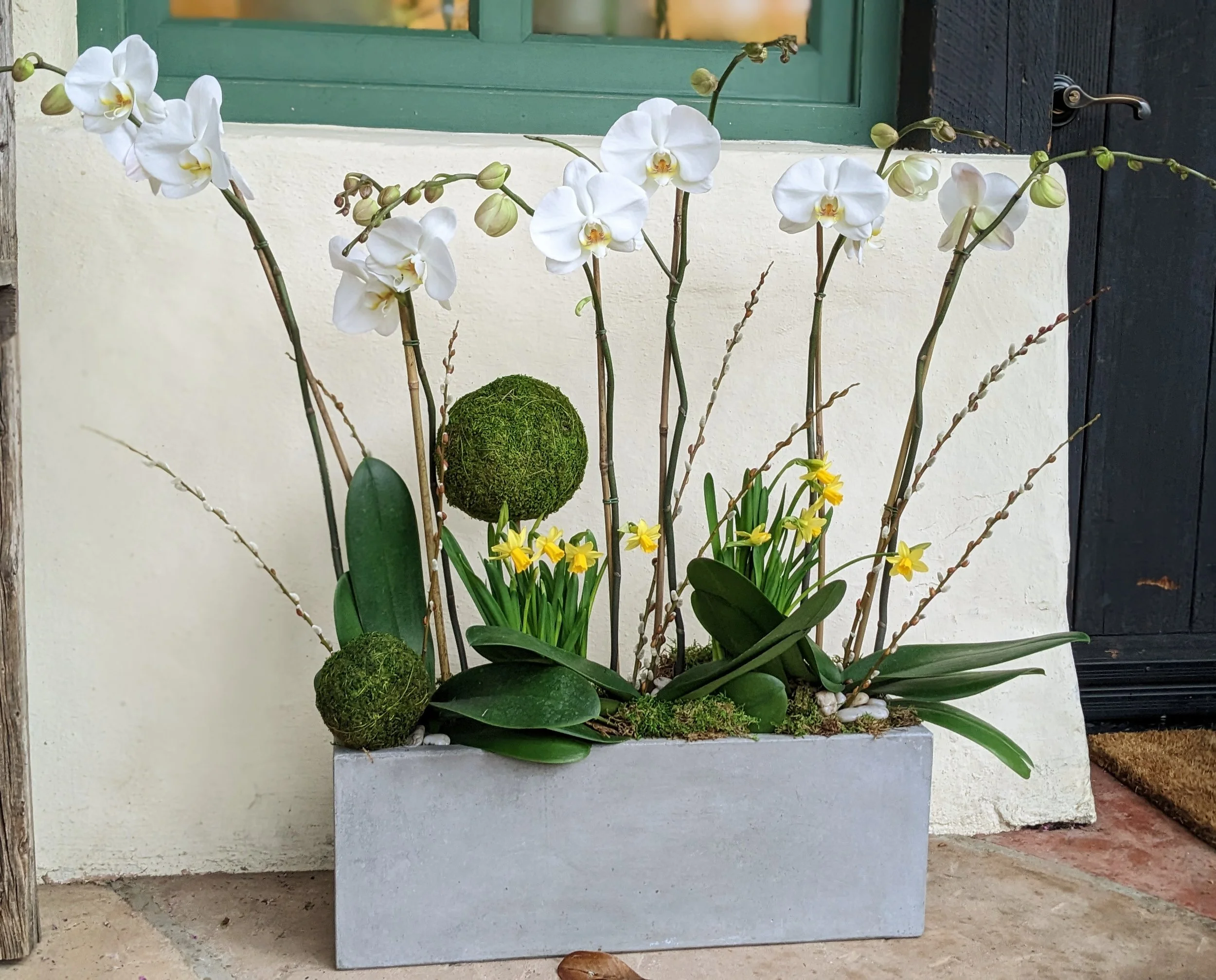 Modern Orchid Arrangements — MENLO BOTANICA