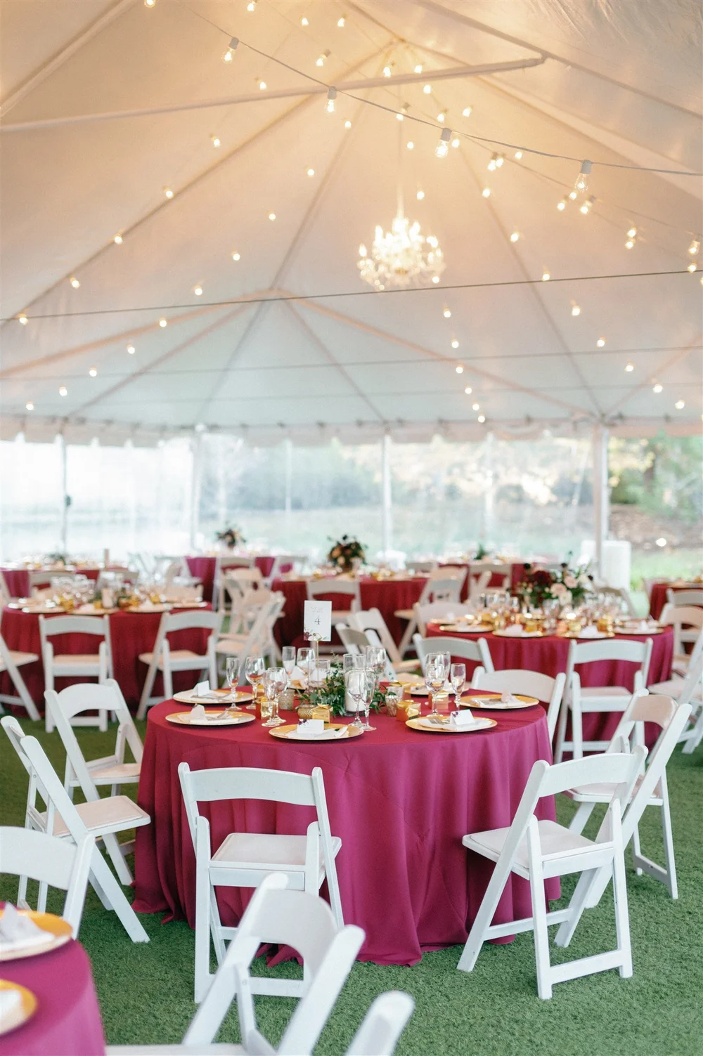 Brie Bella Wedding Reception