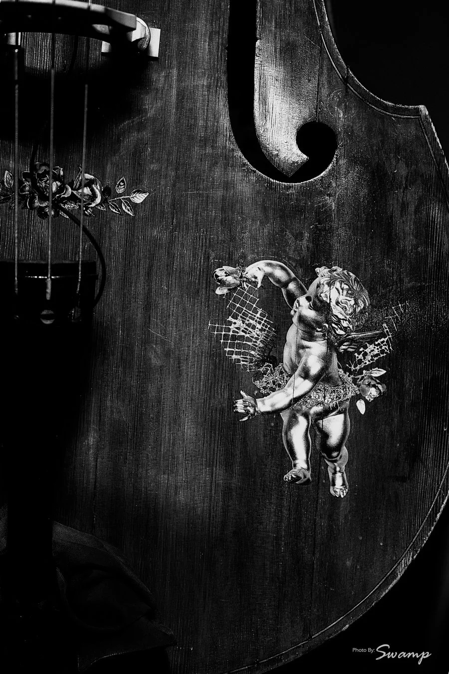 FOX CROSSING STRINGBAND